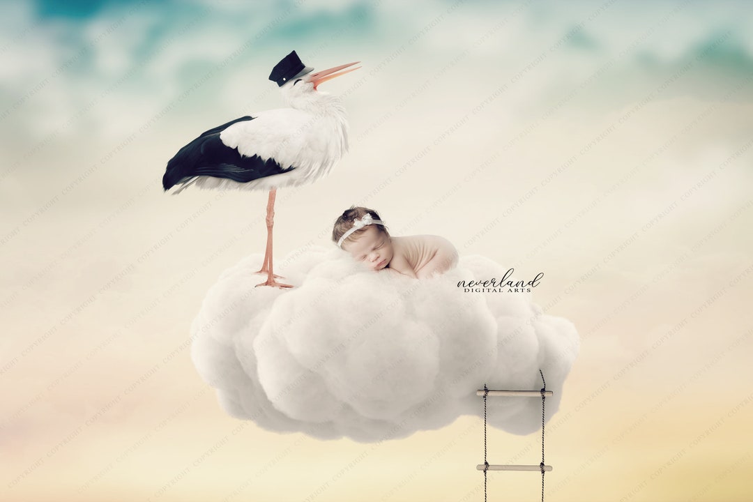 Stork in A Cloud Background for Photoshop / Newborn Backdrop / Digital ...