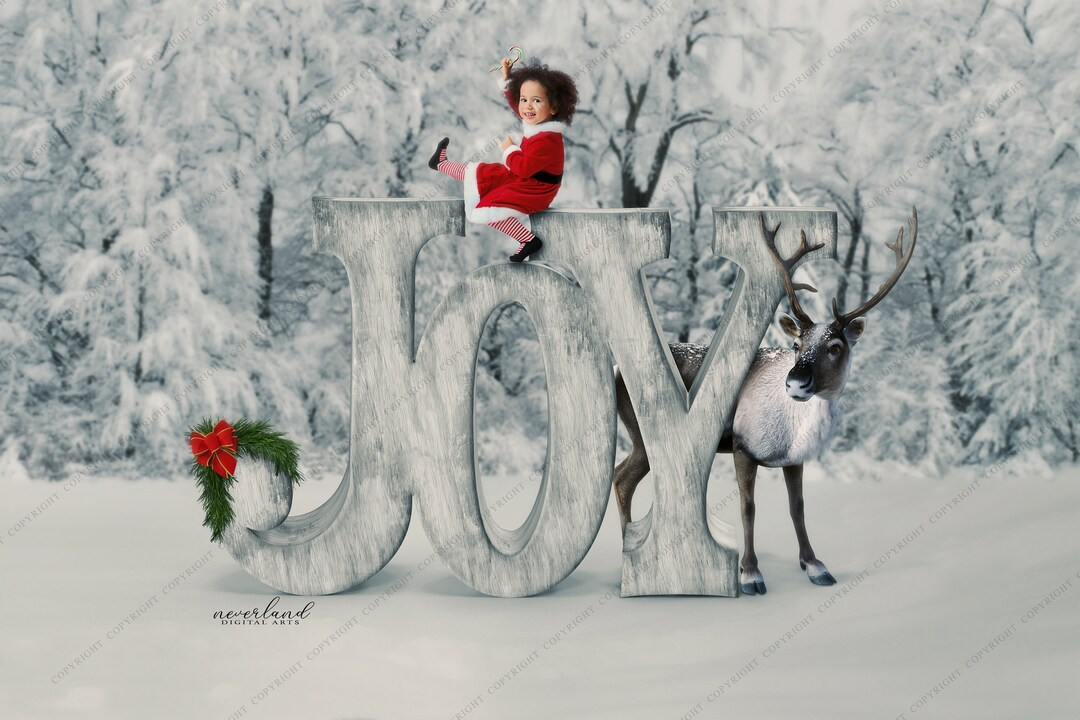JOY Composite Background for Photography / Christmas Backdrop for ...