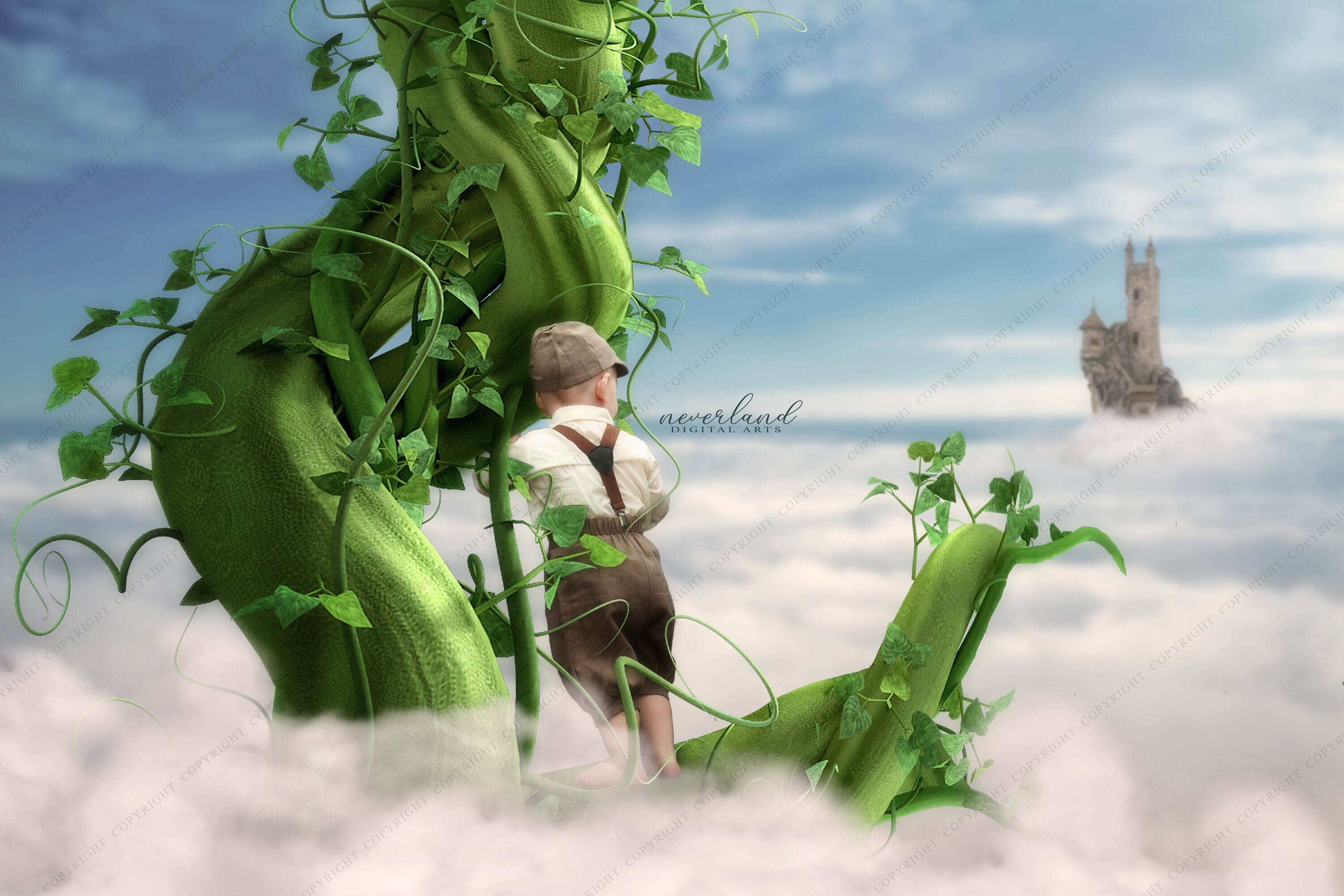 Jacks Beanstalk Digital Background for Photography - Etsy Australia