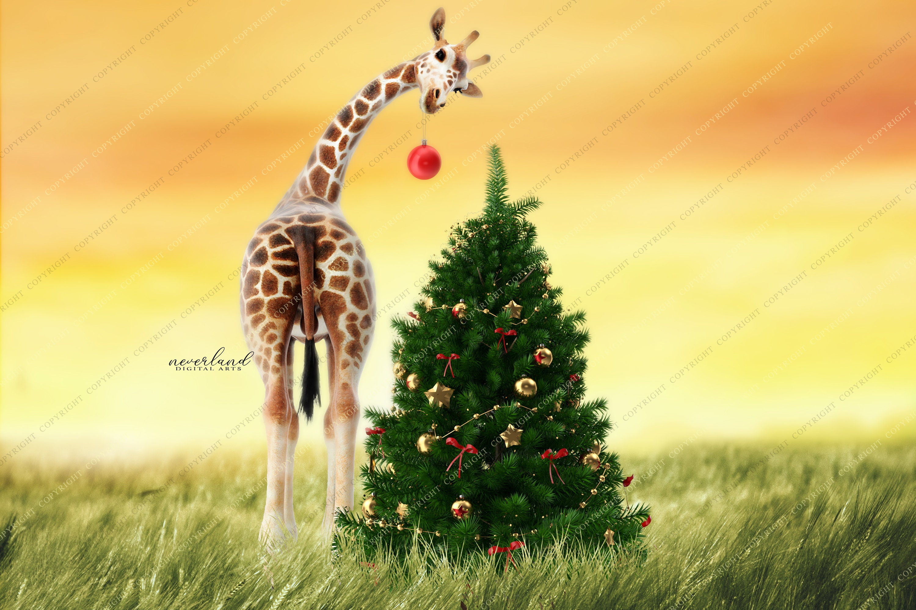 Giraffe Wallpaper Baby Christmas Christmas Giraffes Fabric, Wallpaper