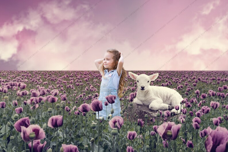 Easter Lamb in a Field Backdrop Background / Overlays & - Etsy