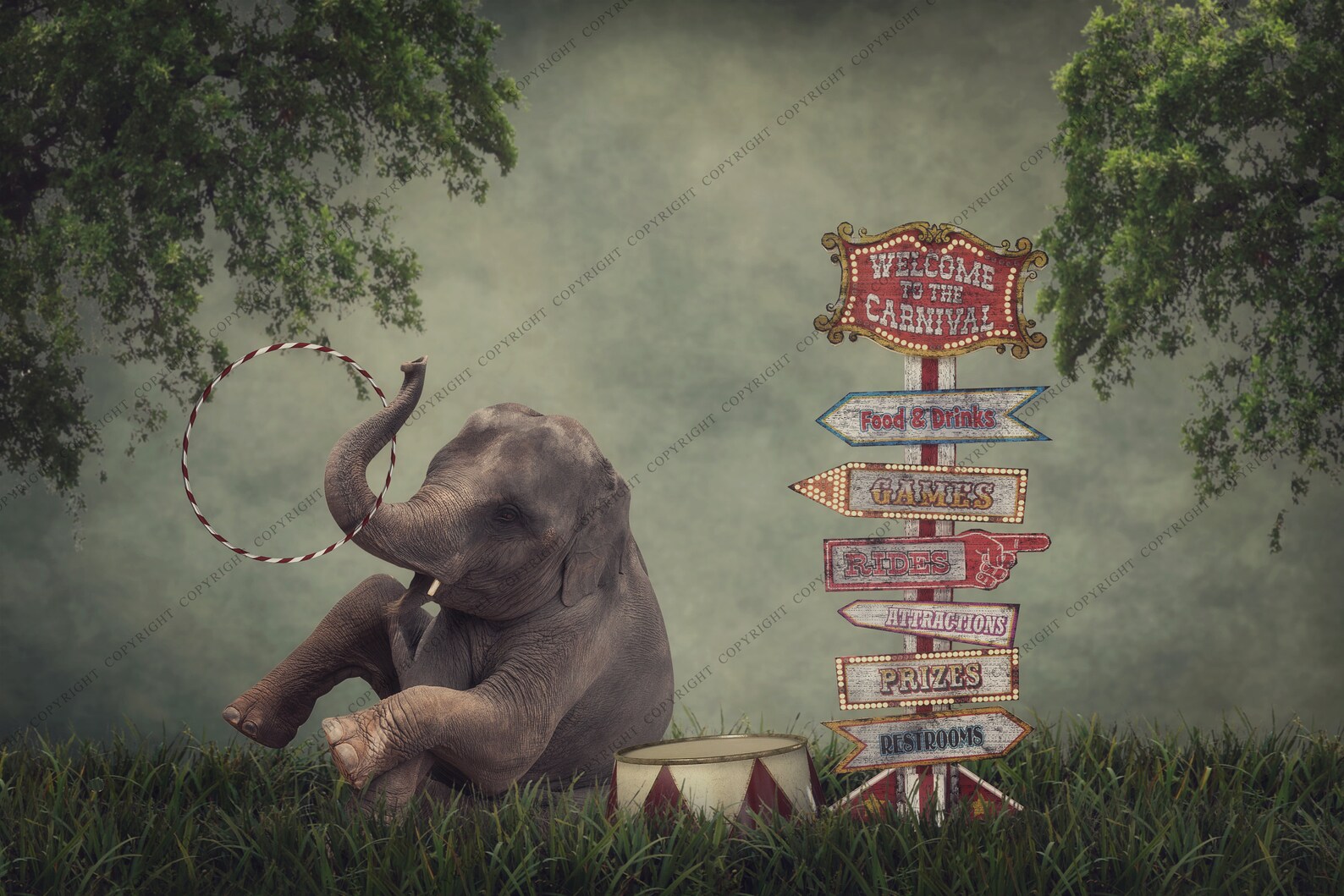 Vintage Carnival Background for Photographers / Circus Backdrop ...