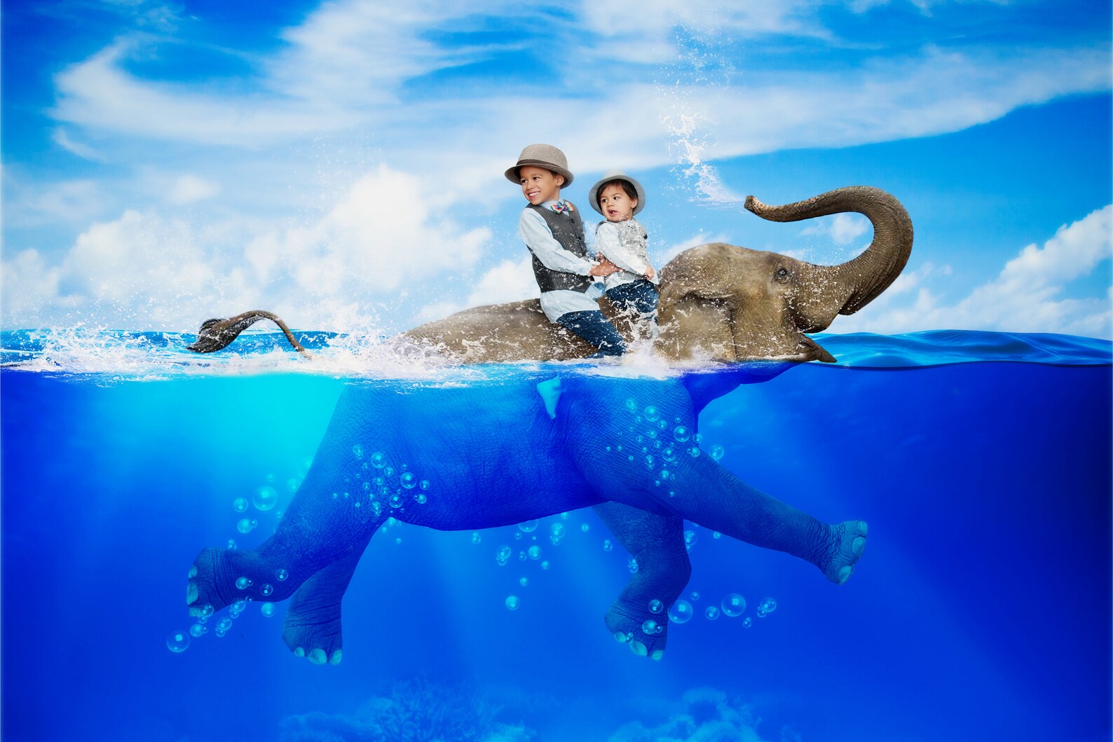 Elephant Backdrop Background / 5 Pack Digital Background / - Etsy