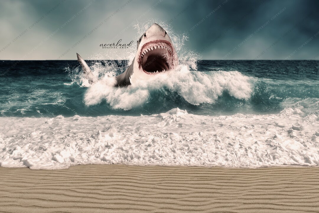 Shark Photo Bomb Digital Background for Photography - Etsy
