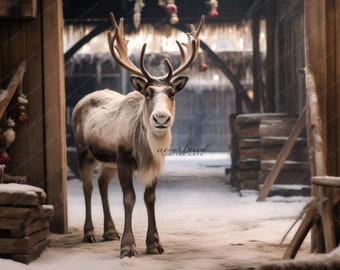 NeverlandDigitalArts - Etsy Canada