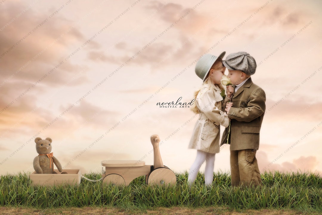 Toys in A Field Digital Background / Composite Backdrop for Photoshop ...