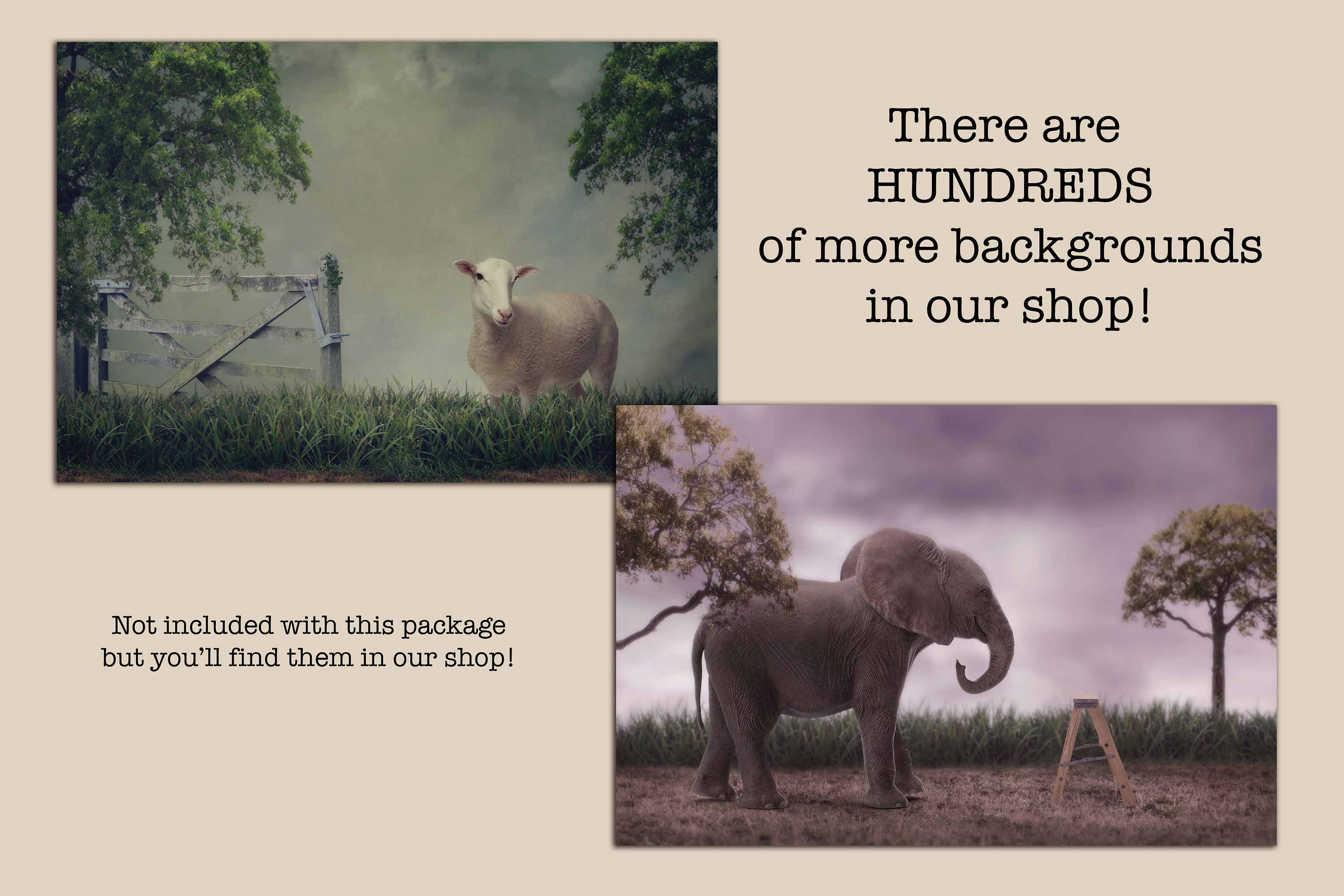 Creamy Pastures Backdrop Background / Digital Background / | Etsy