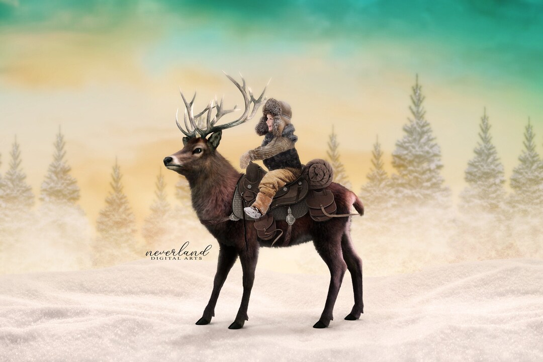 2 PACK Winter Stag Wearing A Saddle / Winter Background for Photography ...