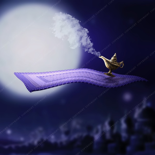 Aladdin Magic Carpet - Etsy