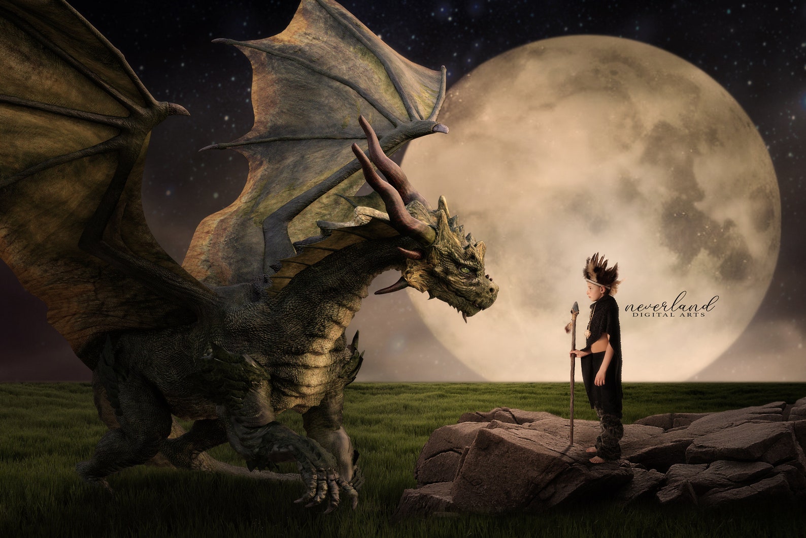 Dragons Field Background for Photographers / Dragon Background | Etsy