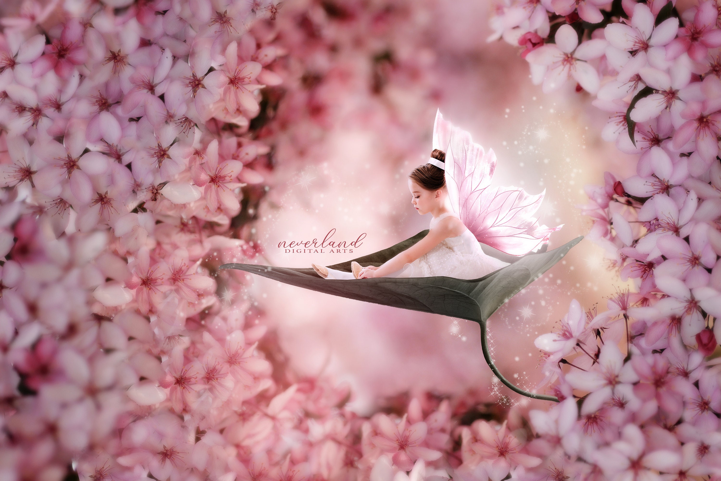 Cherry Blossom Fairy Digital Background for Photography - Etsy Ireland