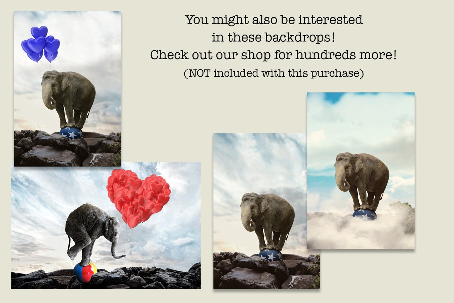 Elephant Jumping Background for Photography / Elephant Wearing A Saddle ...