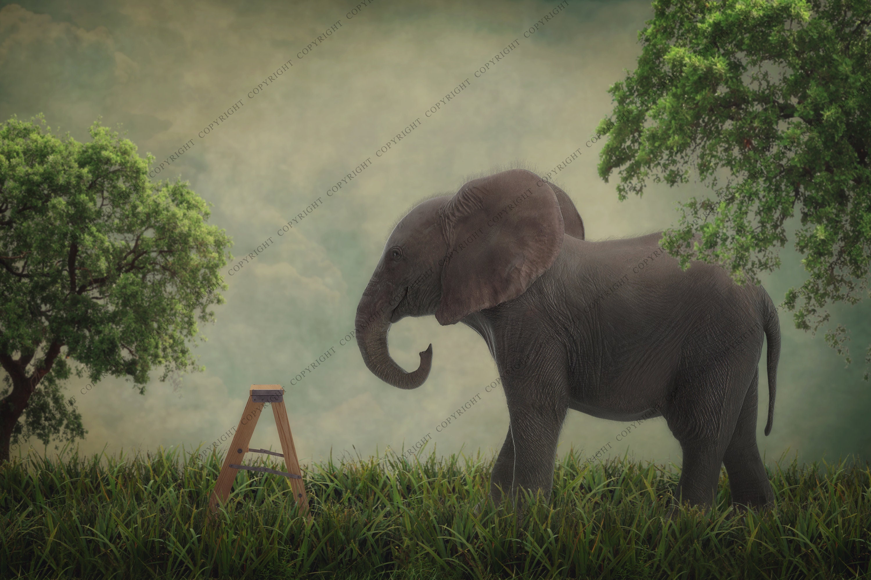 Baby Elephant Friend Backdrop Background / Digital Background | Etsy