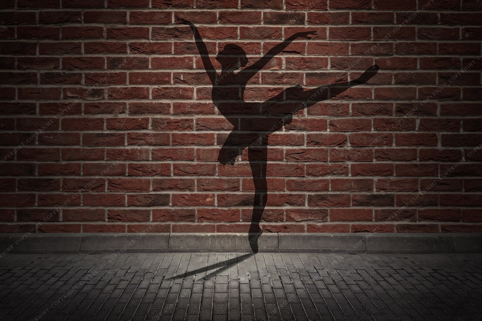 Shadow Dancer Background for Photographers / Instant Digital | Etsy