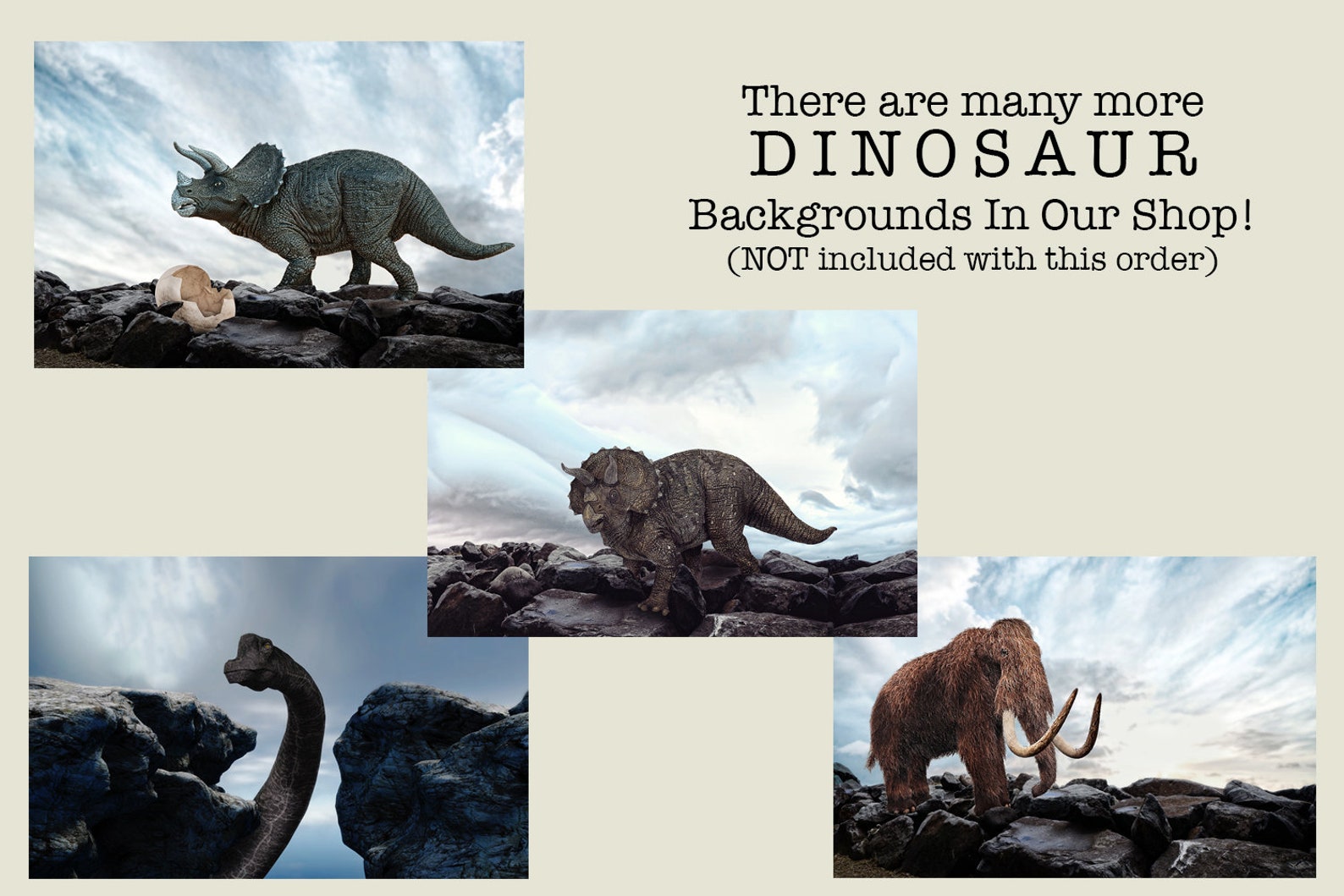 Trex Chasing a Jeep Dinosaur Background for Photography - Etsy