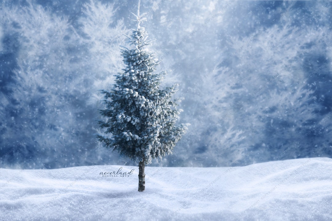 2 PACK Winter Tree Background for Photography Composites / - Etsy