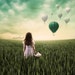 Dreamy Field Digital Background / Backgrounds & Overlays for for ...