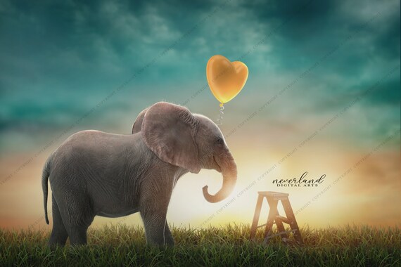 Elephant Composite Background Add You Own Subject Valentines Etsy