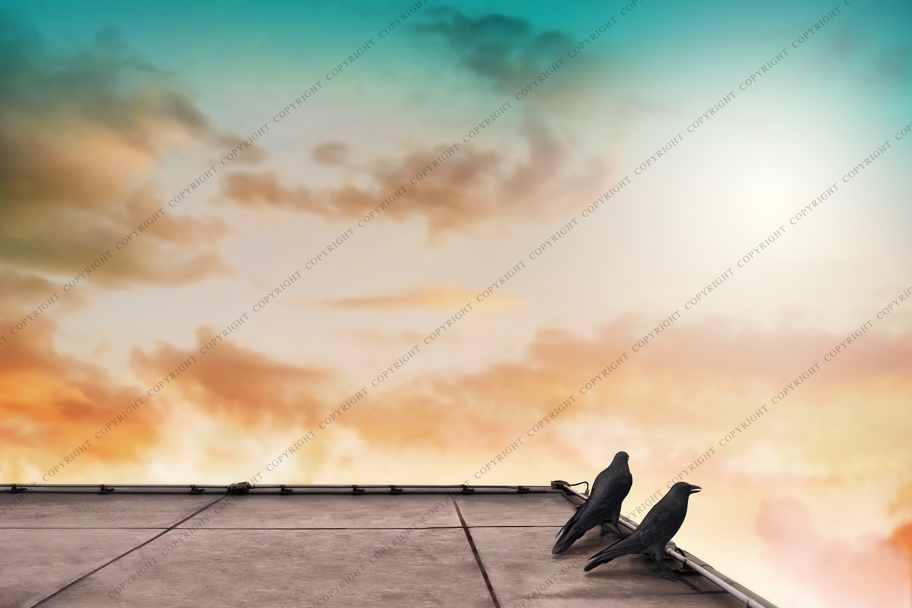 Crow's Ledge Background for Photographers / Instant | Etsy