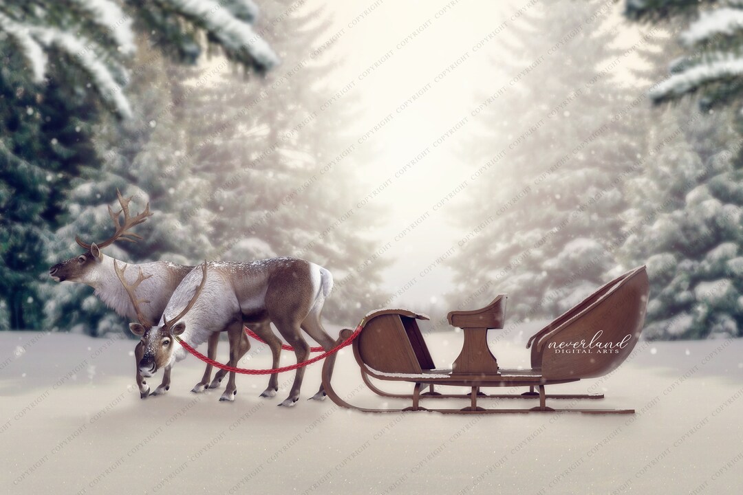 2 PACK Sleigh Ride in the Forest Background for Photography Composites ...