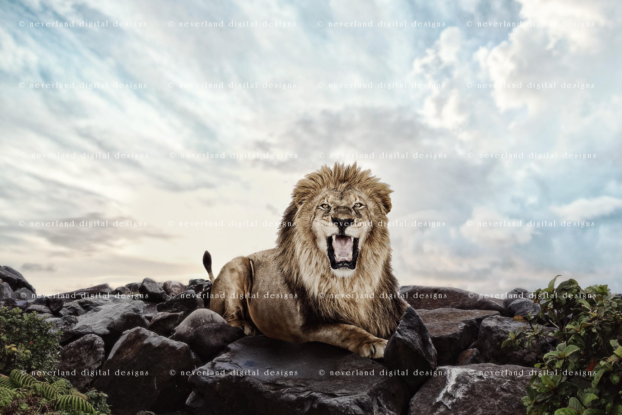 Lion Backdrop Background / Digital Background / Fantasy | Etsy