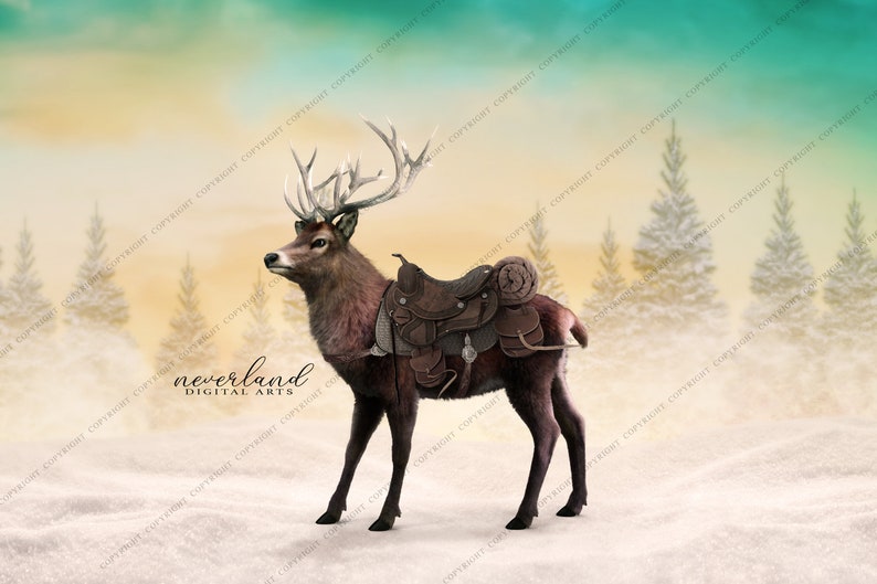 2 PACK Winter Stag Wearing A Saddle / Winter Background for - Etsy