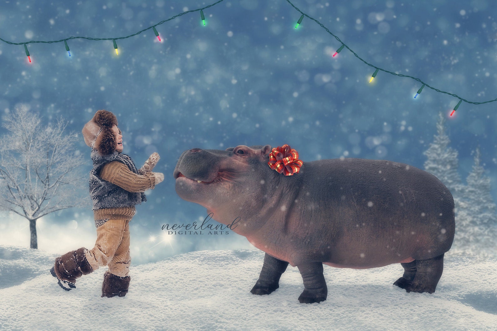 Hippo for Christmas Winter Background for Photography Composites ...