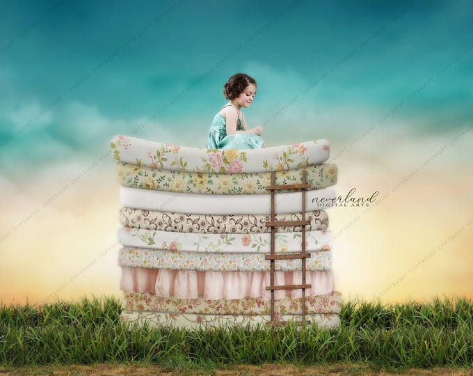 LAYERED PSD Princess Background for Photographers / Composite - Etsy