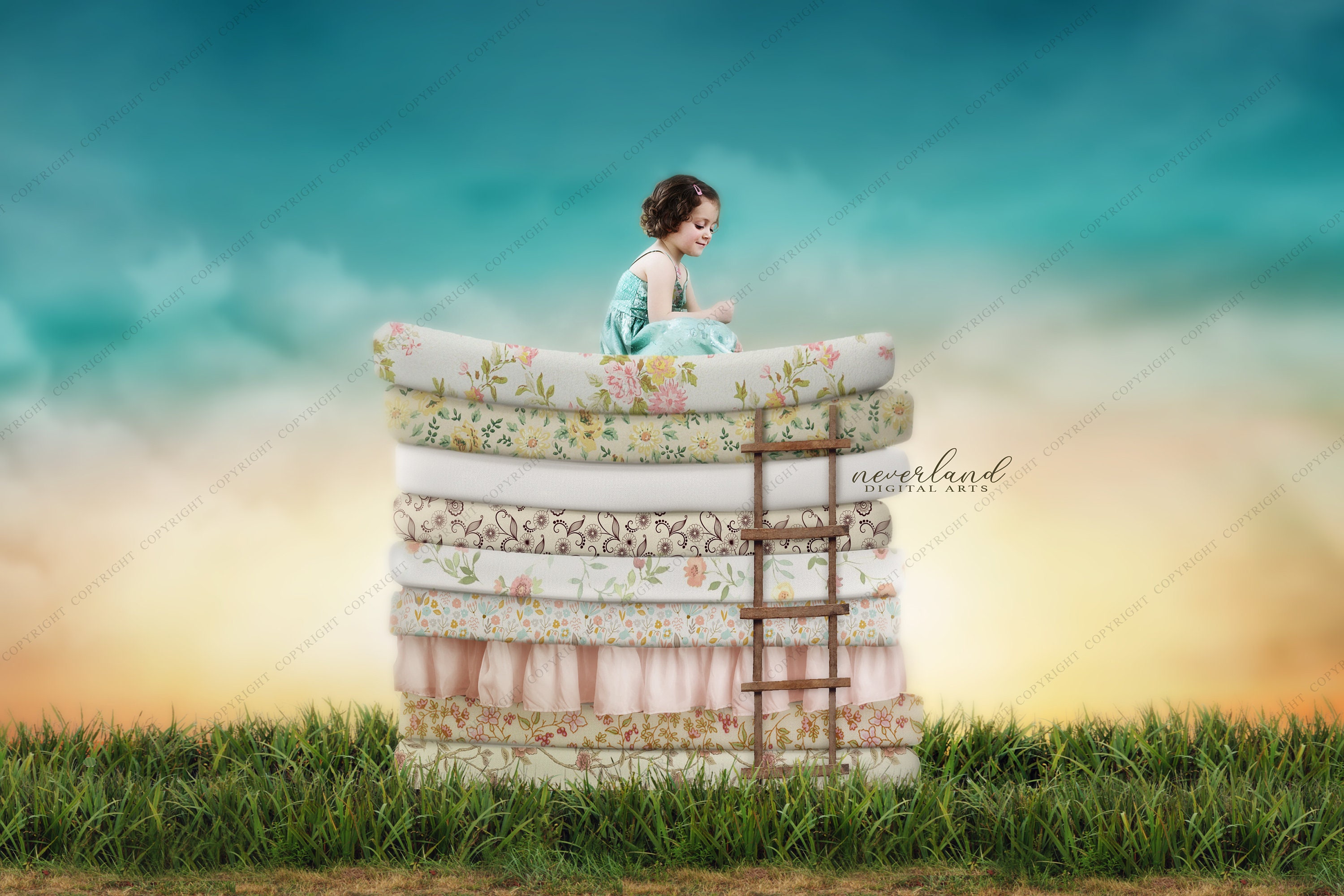 LAYERED PSD Princess Background for Photographers / Composite - Etsy