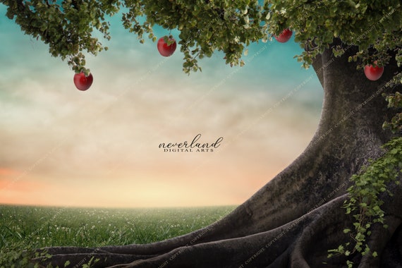 Apple Tree Wallpapers