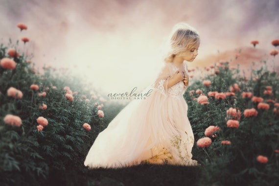 Dreamy Field Background / Photography Background For Digital | Etsy