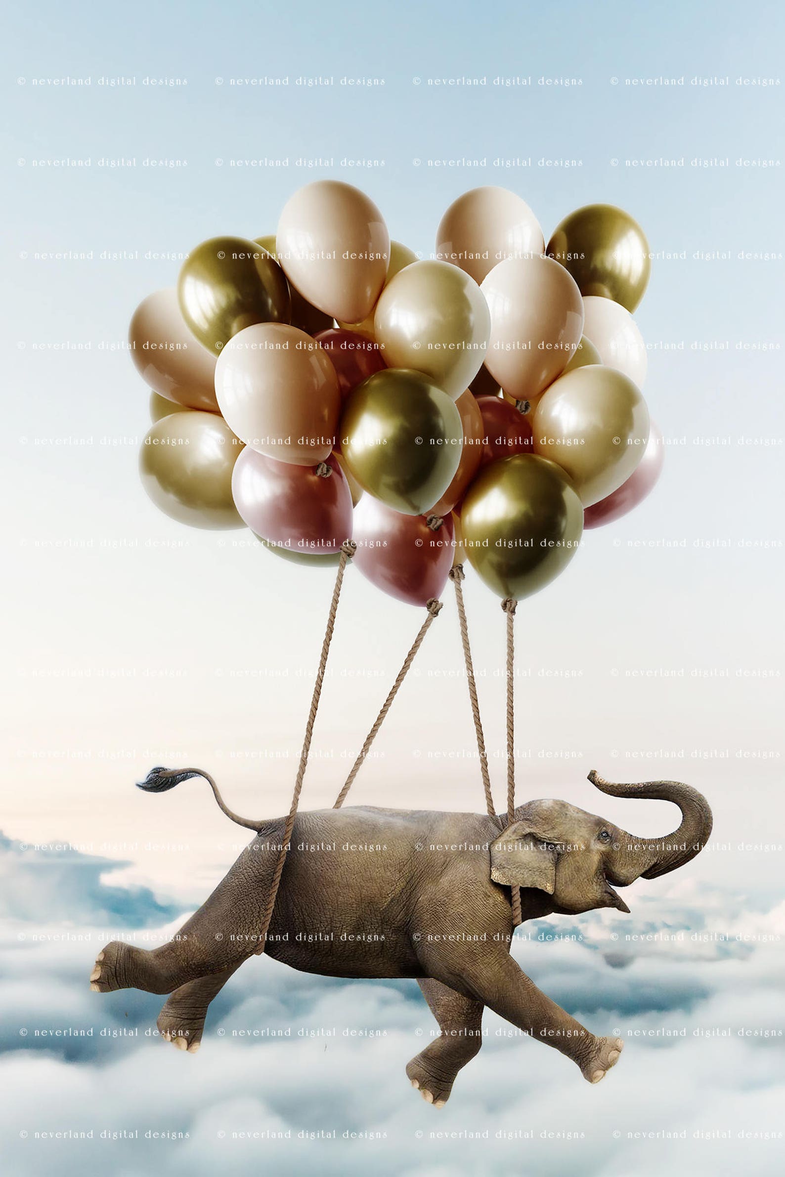 Elephant Backdrop Background / 5 Pack / Digital Background / | Etsy