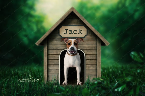 Dog House Digital Background for Photography Composites / - Etsy
