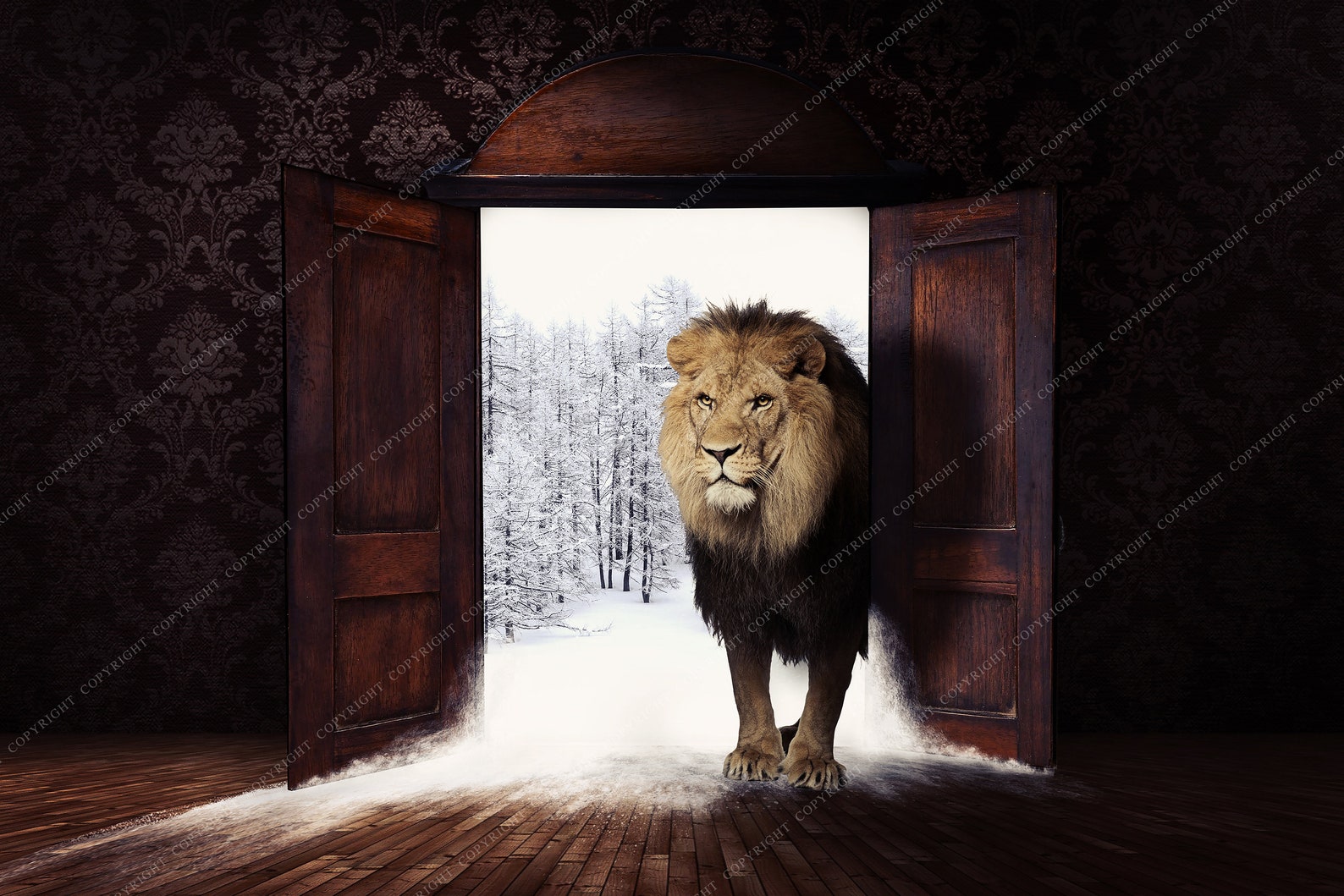 The Wardrobe Backdrop Digital Background for Photographers / - Etsy