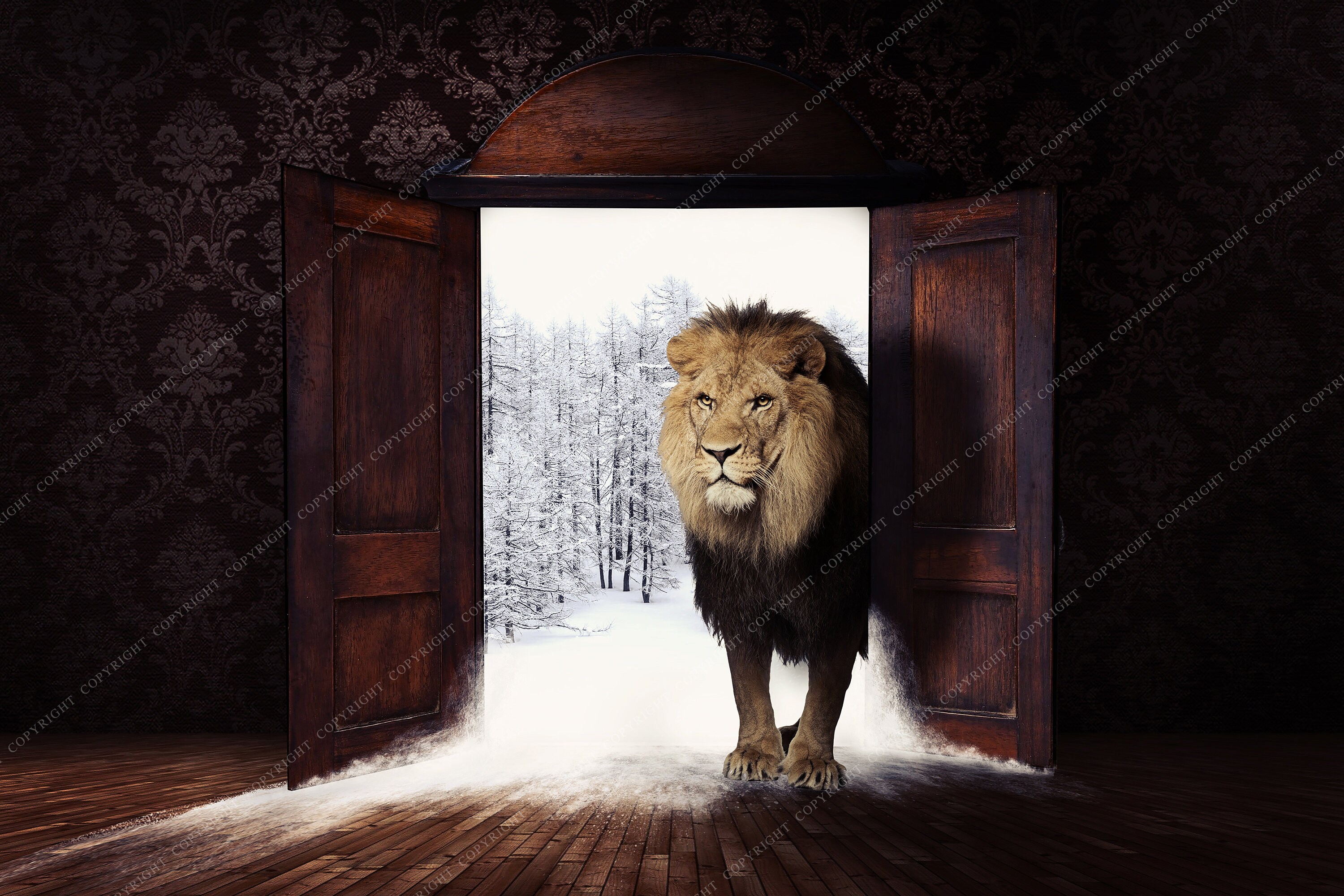 The Wardrobe Backdrop Digital Background for Photographers / - Etsy