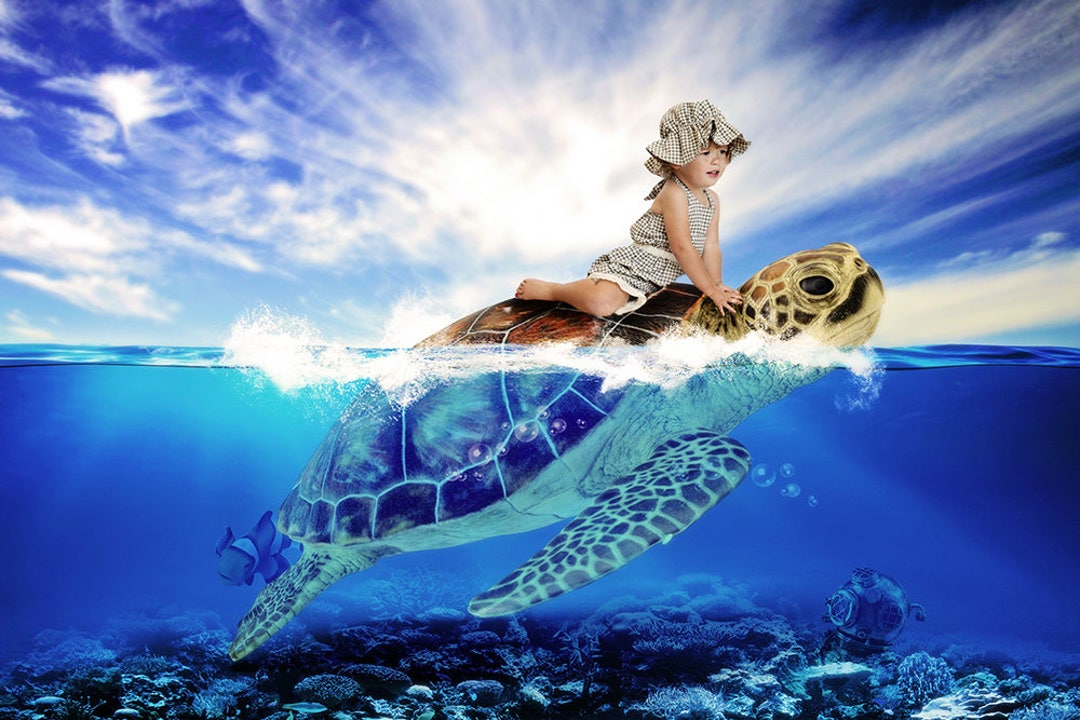 Turtle Backdrop Background / 3 Pack /digital Background / Fantasy ...