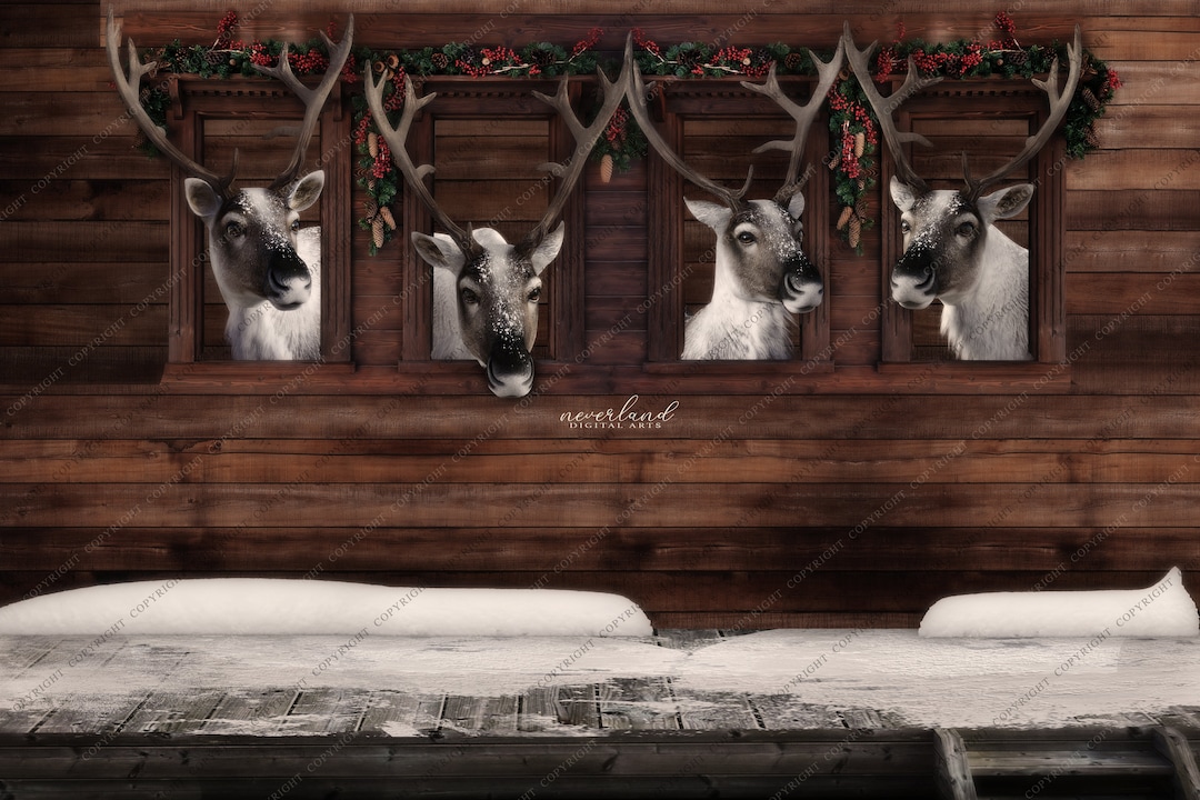 Reindeer Stable / Christmas / Festive Winter Background for Photography ...