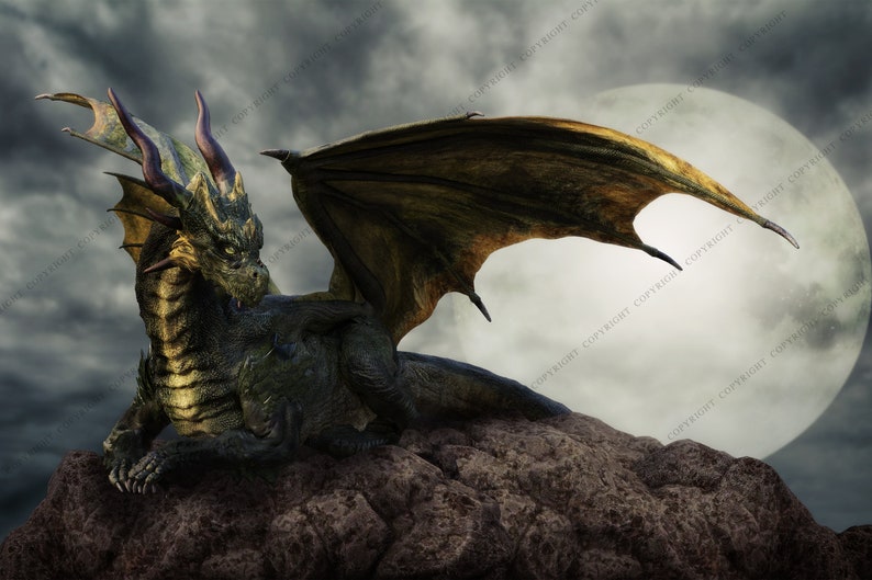 Sitting Dragon Background for Photographers / Dragon Background Instant ...