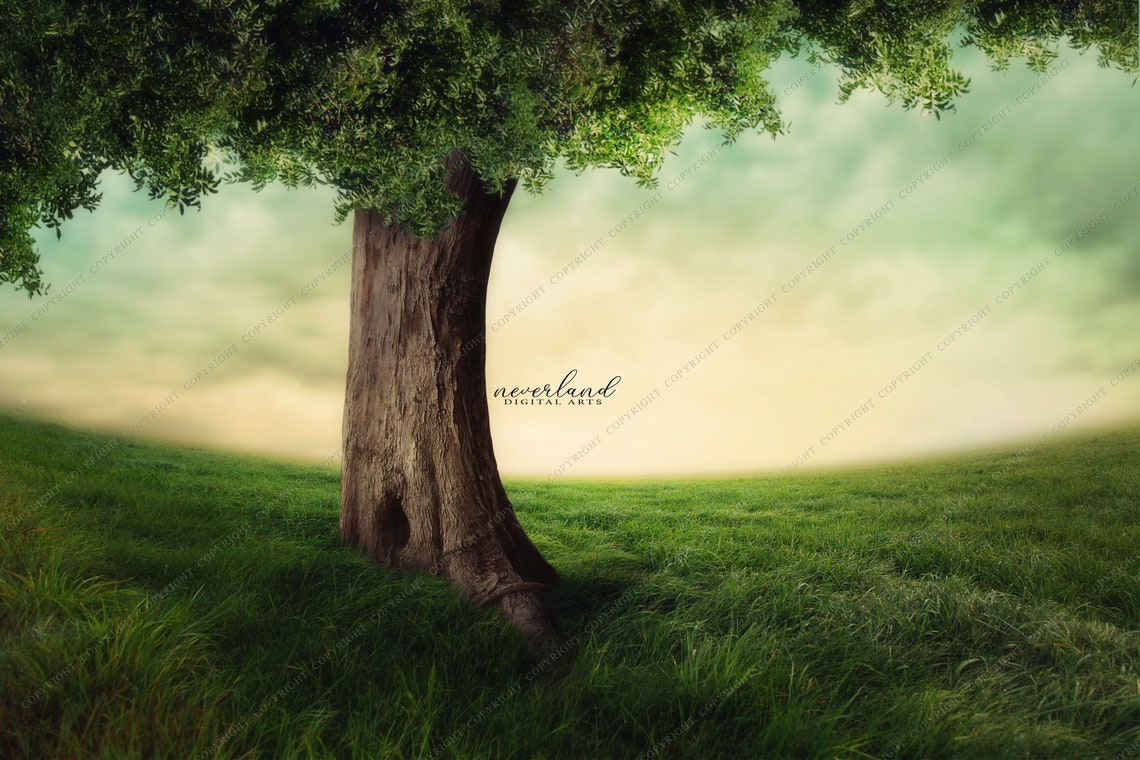 Magical Field Background / Digital Background for - Etsy