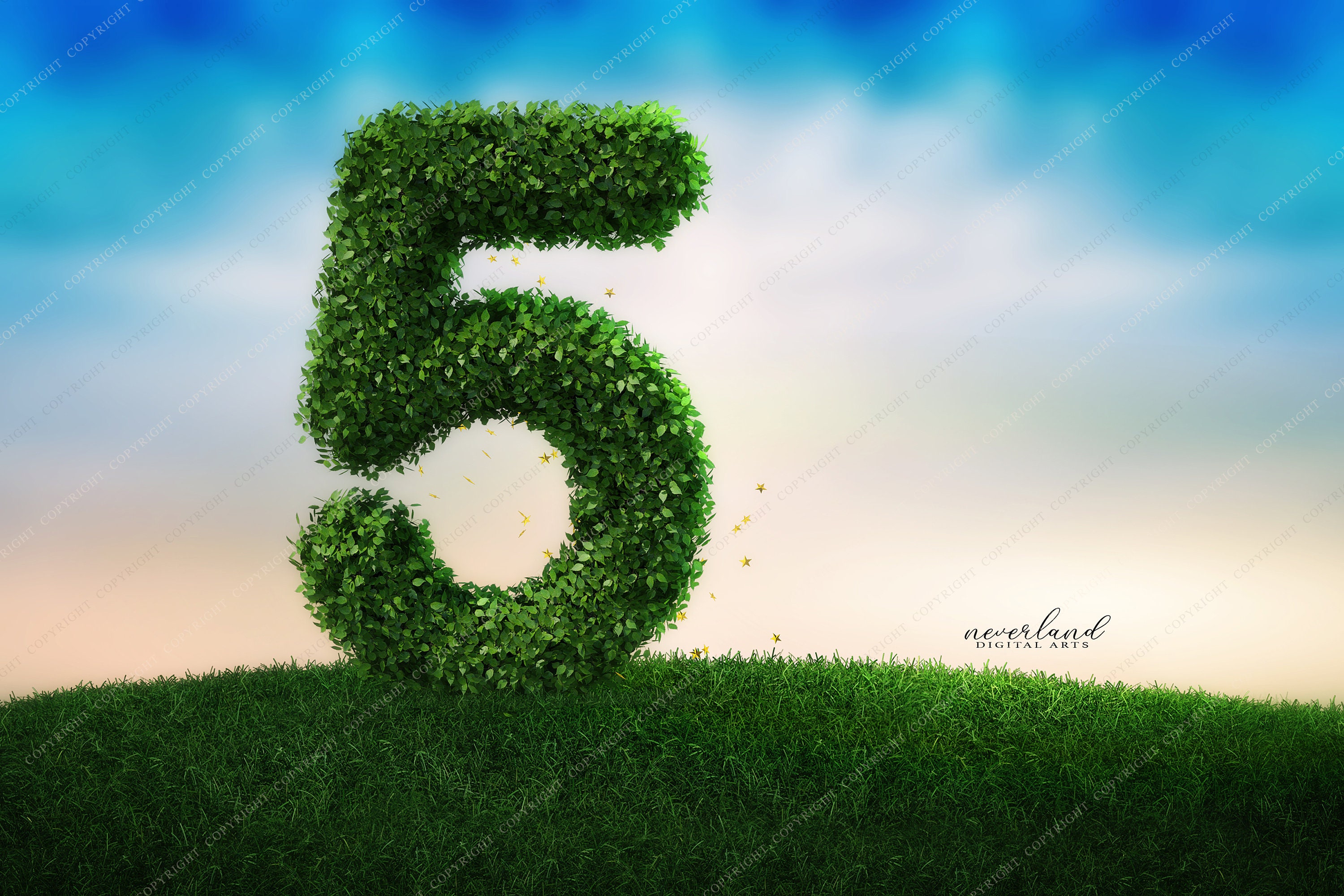 5th Birthday Background for Photography Compositions / Digital | Etsy