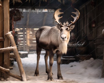 NeverlandDigitalArts - Etsy Canada