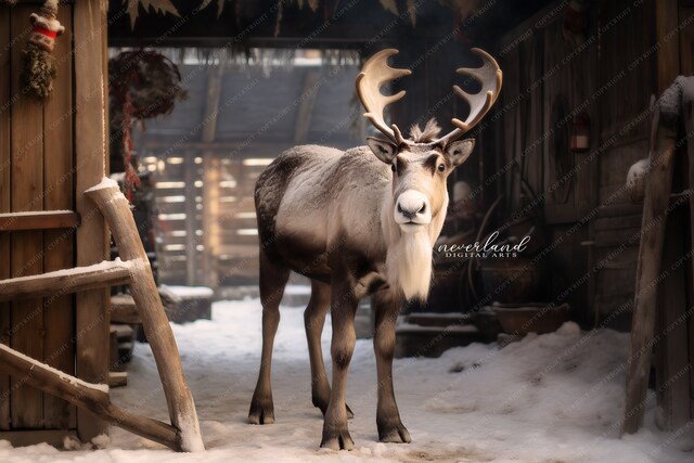 NeverlandDigitalArts - Etsy Canada