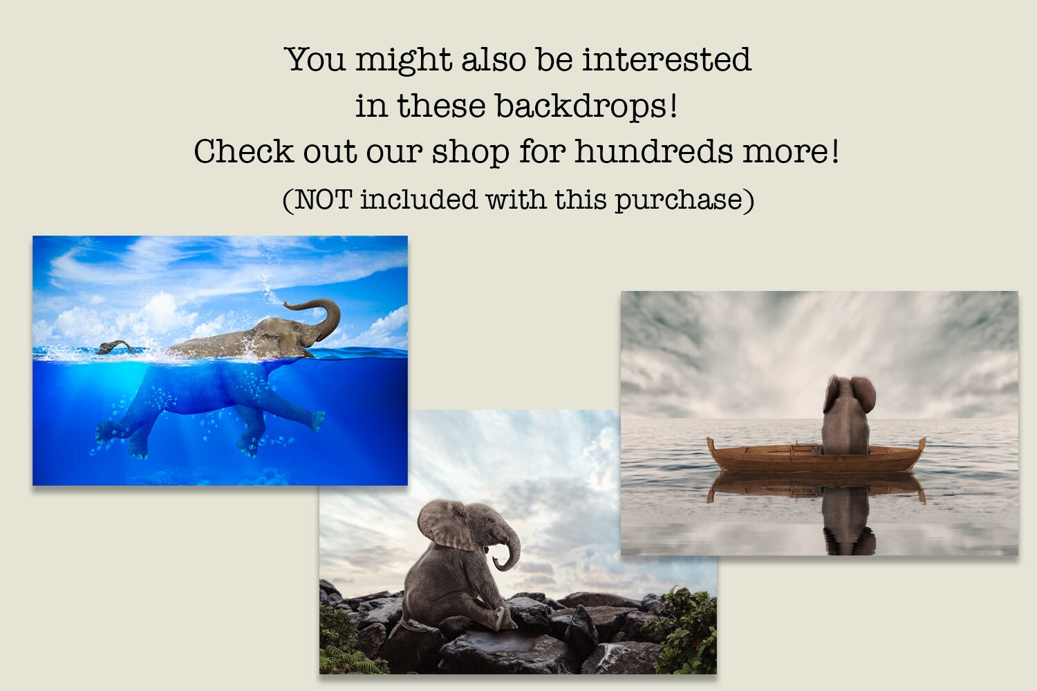 Elephant Jumping Background for Photography / Elephant Wearing A Saddle ...