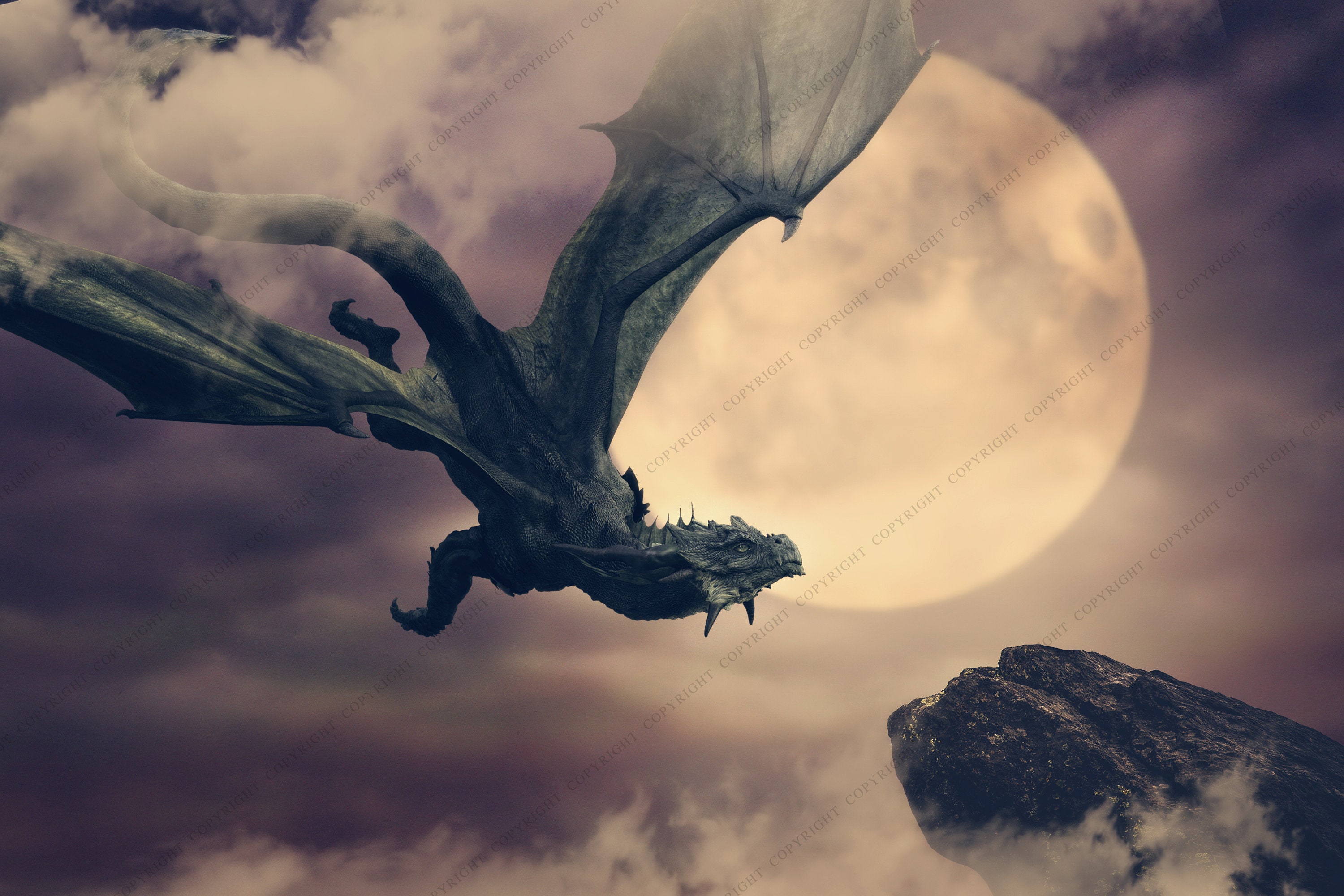 5 PACK Friendly Dragon Background for Photographers / Digital ...