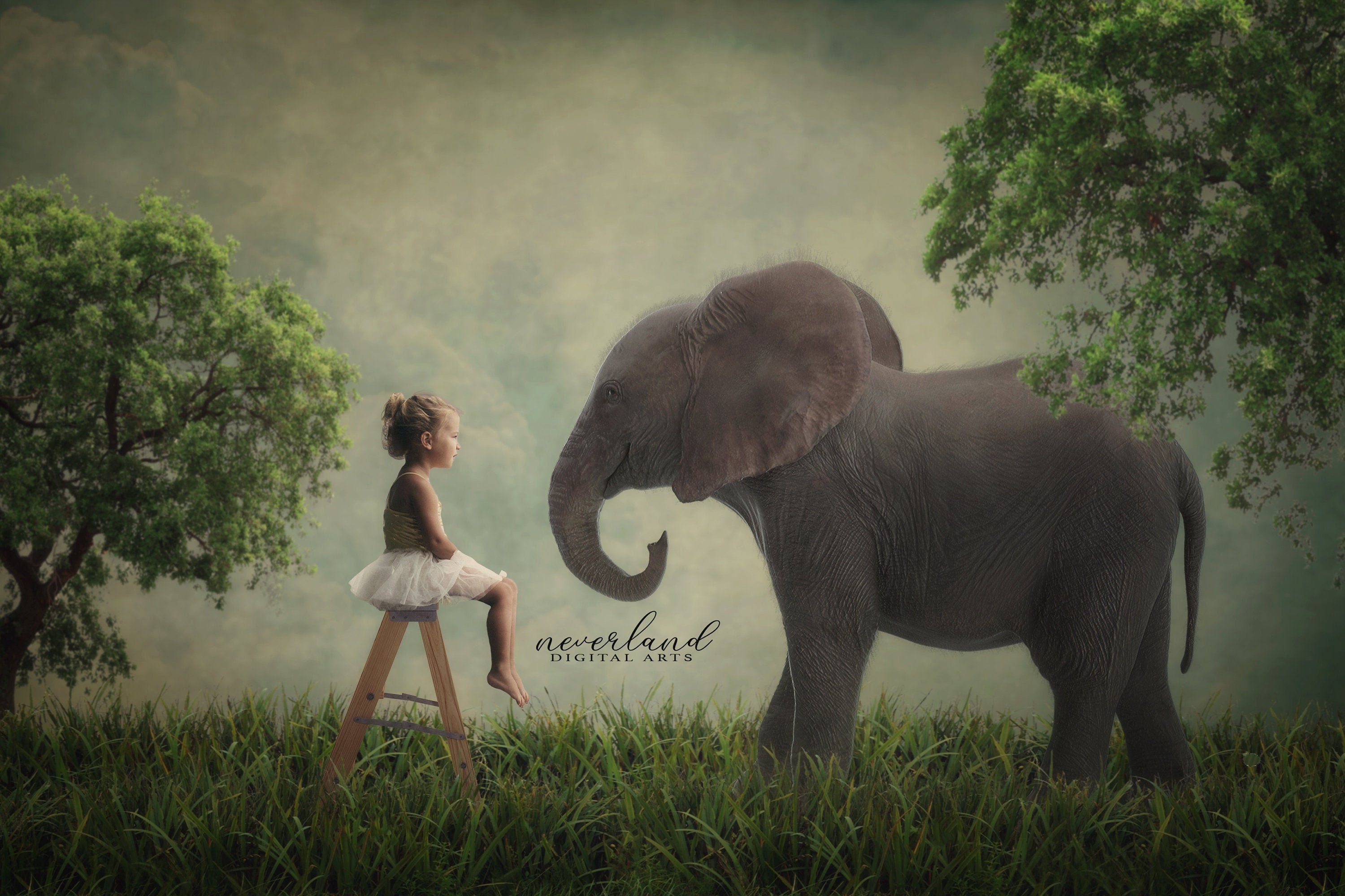 Baby Elephant Friend Backdrop Background / Digital Background / Fantasy ...