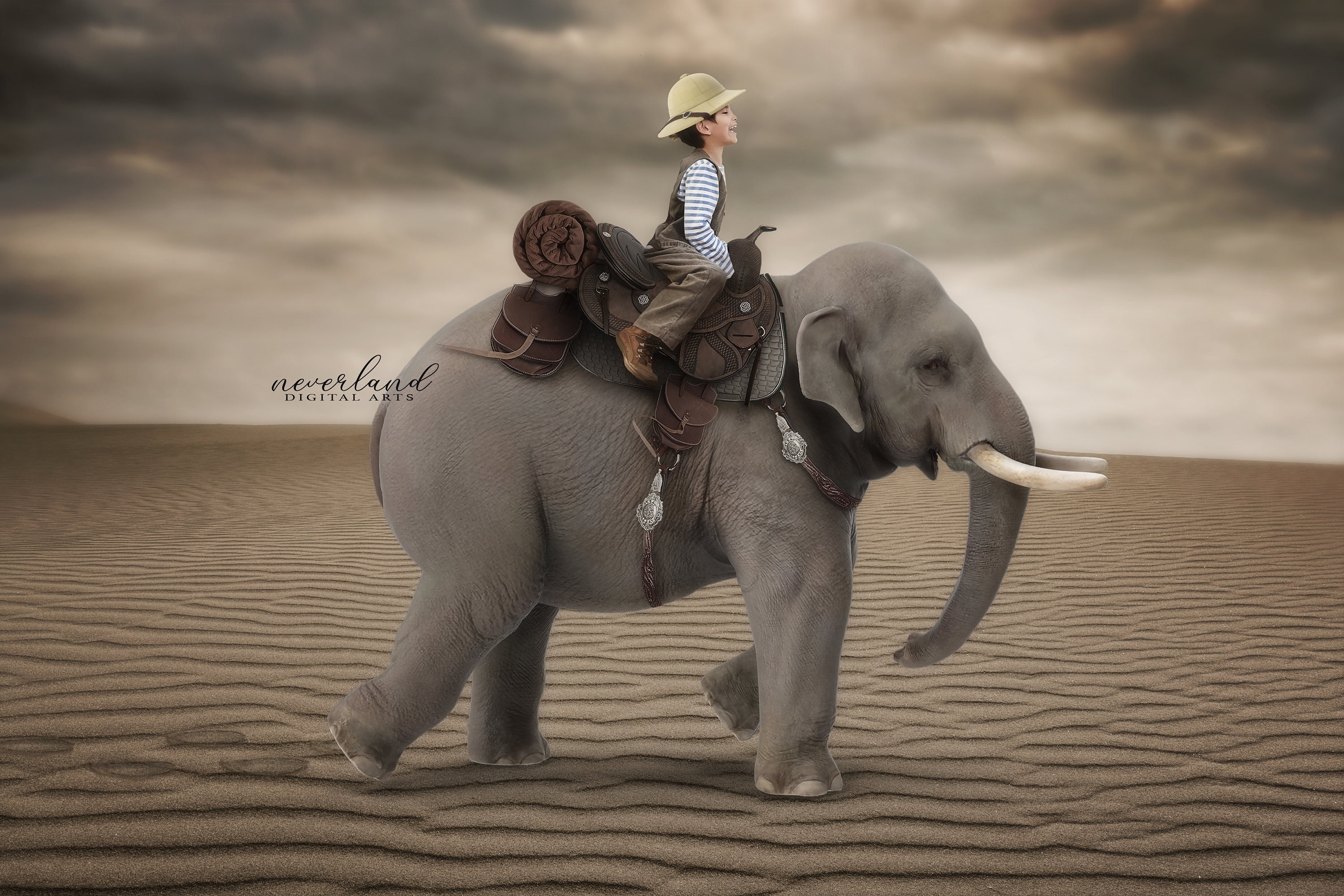 Saddle on an Elephant Background for Photography / Asian Elephant on ...
