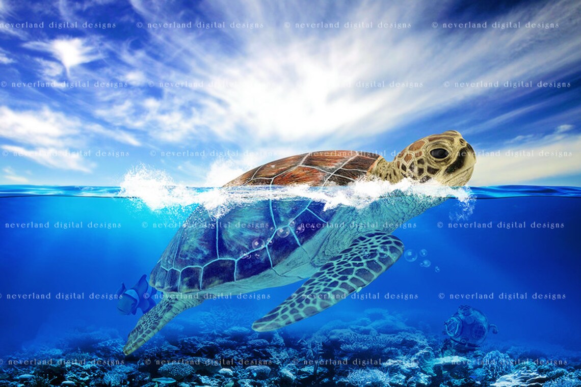 Turtle Backdrop Background / 3 pack /Digital Background / | Etsy