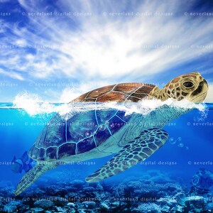 Turtle Backdrop Background / 3 Pack /digital Background / Fantasy ...