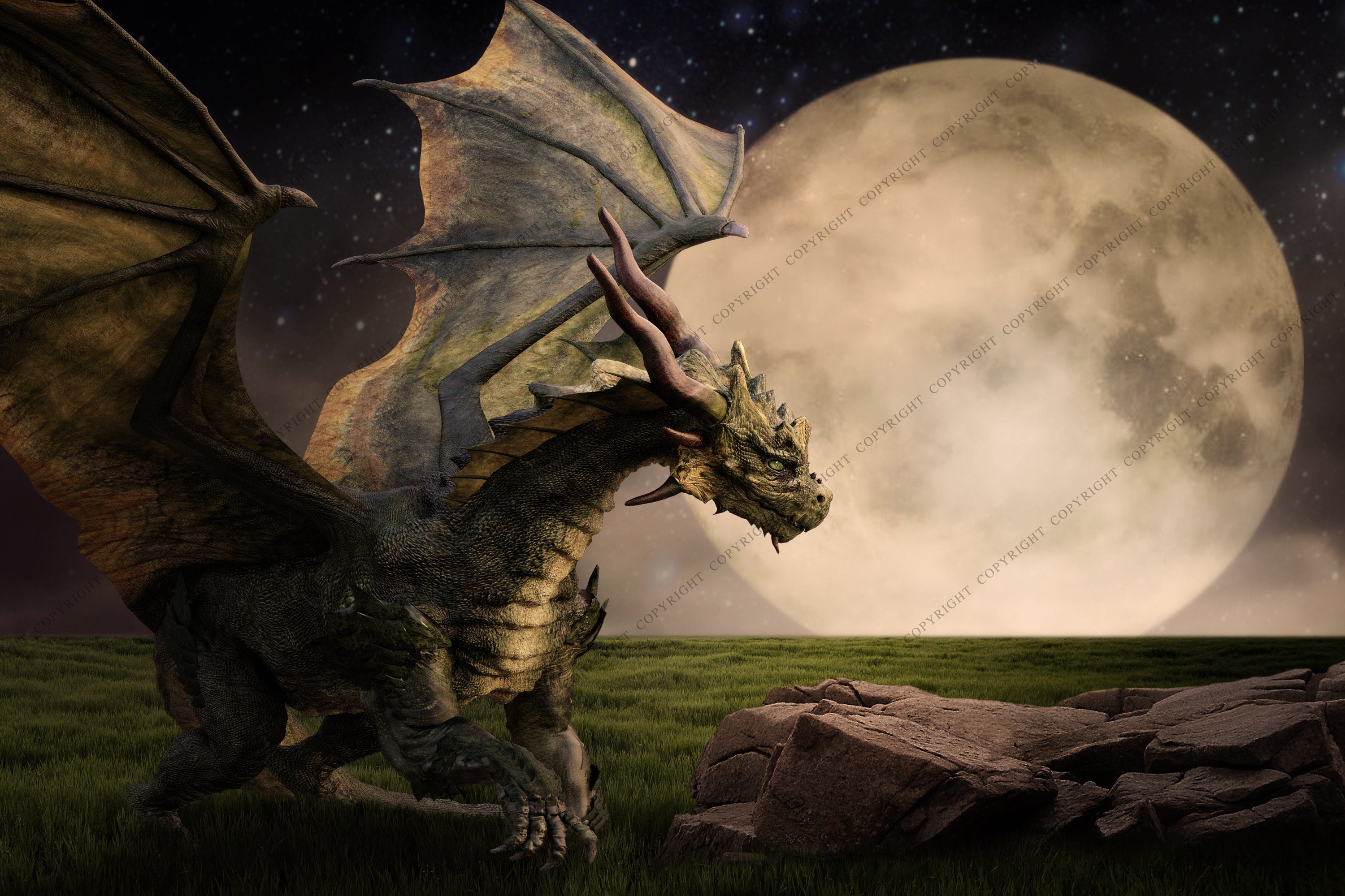 5 PACK Friendly Dragon Background for Photographers / Digital ...