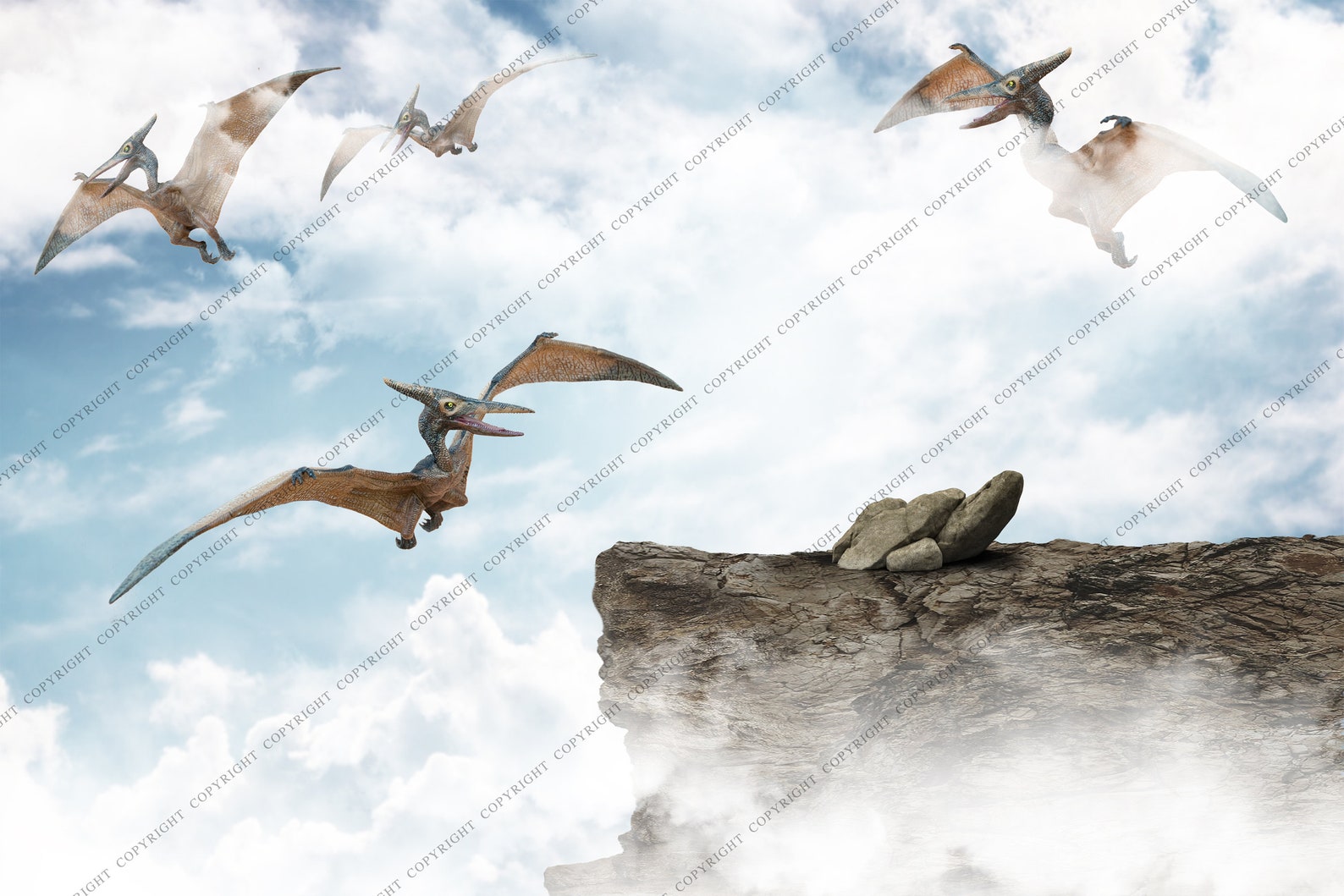 5 PACK Dinosaur Backdrop Background / Dinosaur Download / Dinosaur ...